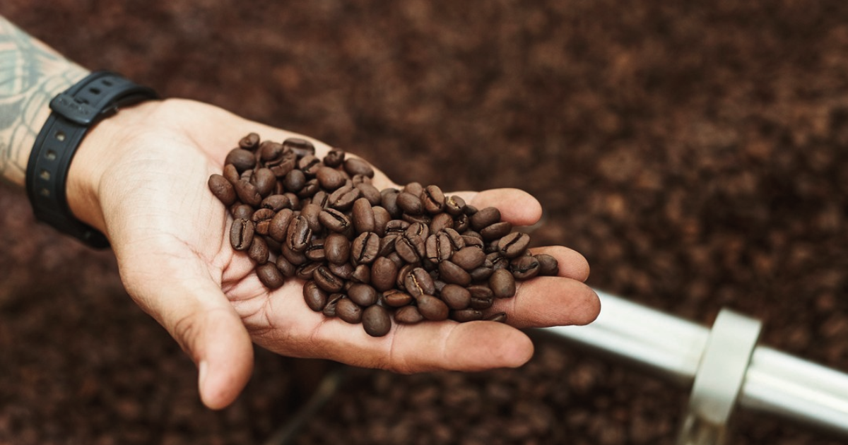Origin & Story: Ethiopian Coffee - Caffe Luxxe